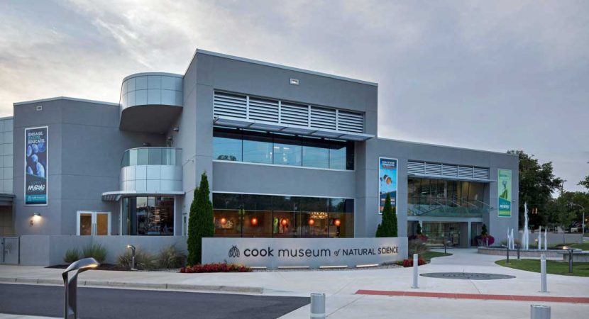 Cook Museum of Natural Science - Fite Building Company